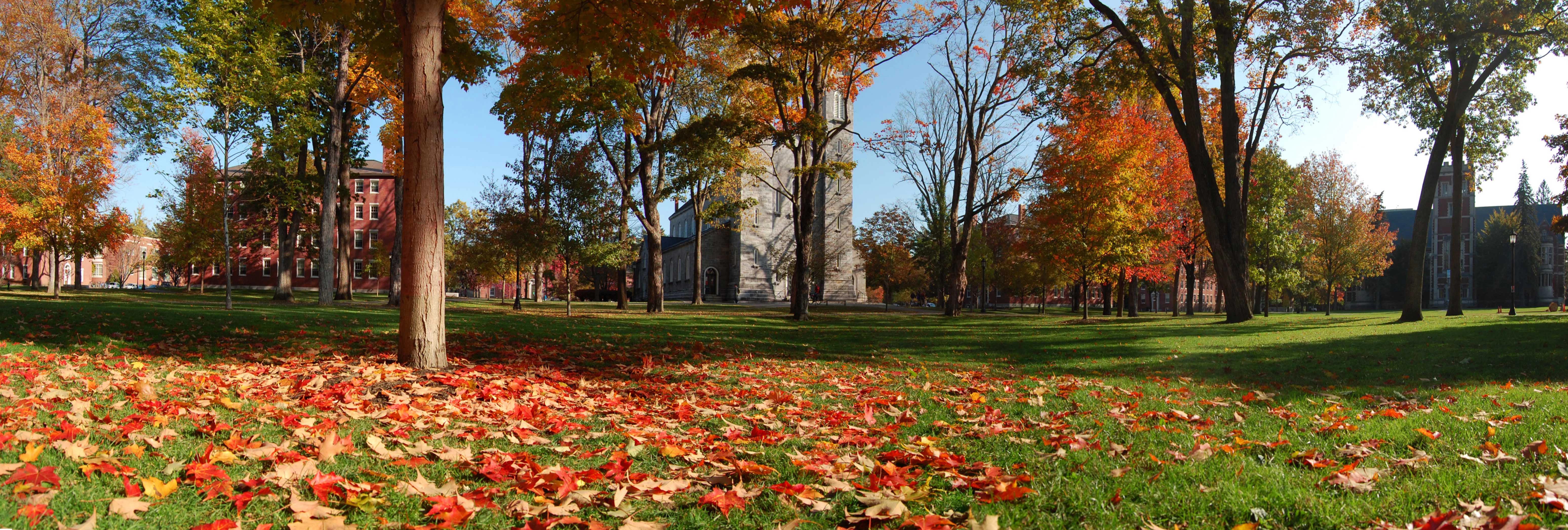 Colleges with the Highest Graduation Rate in Maine