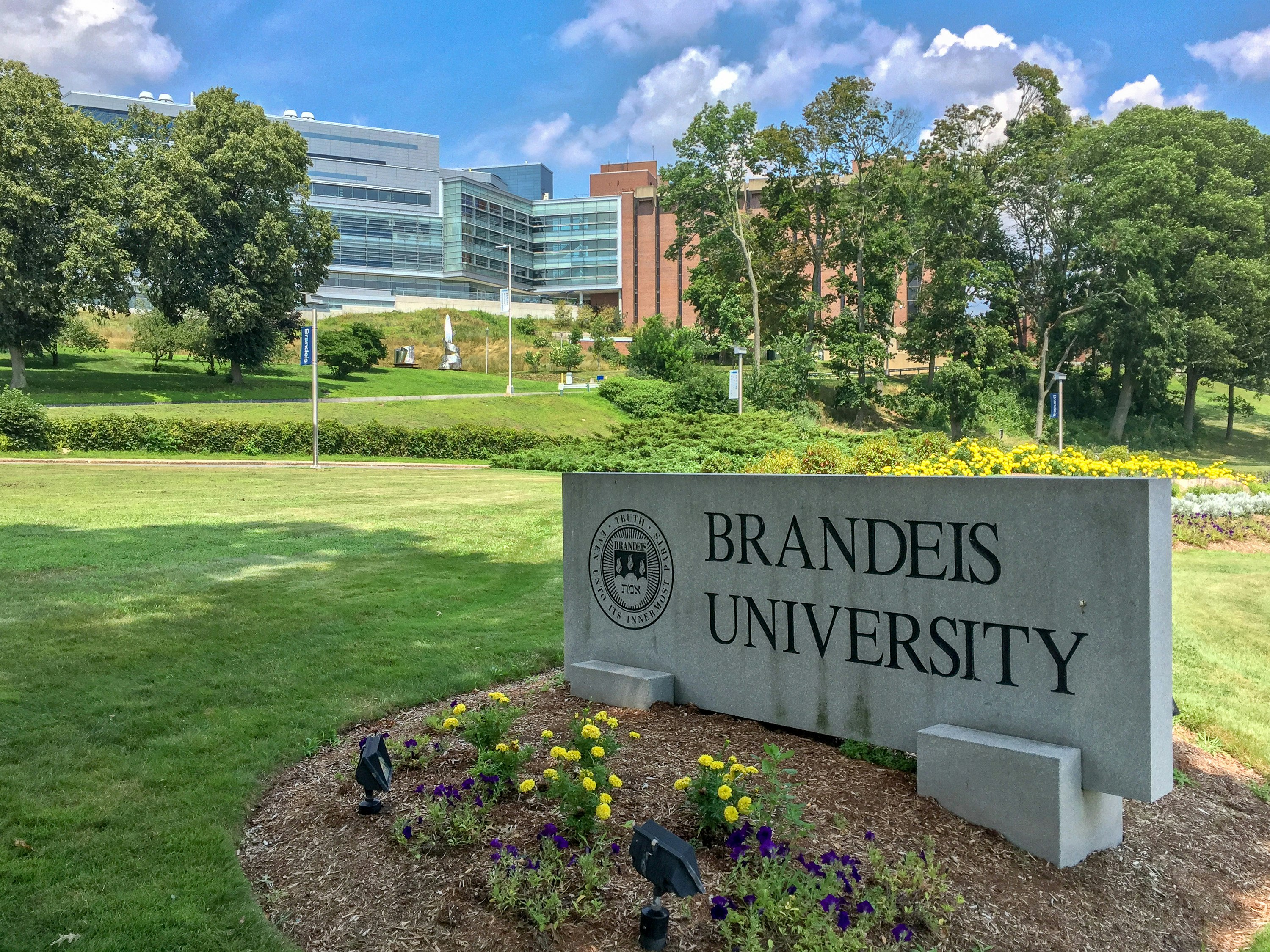 Brandeis University GPA Calculator