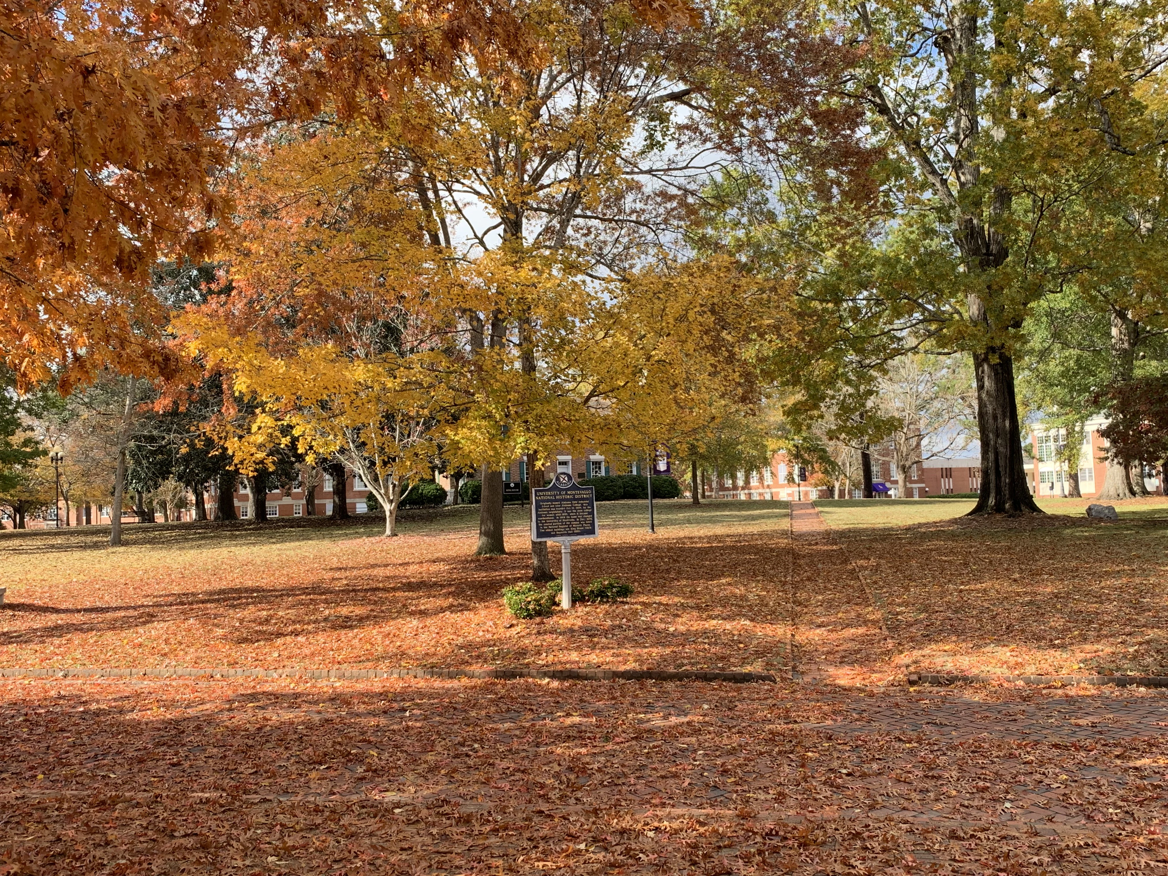 University of Montevallo