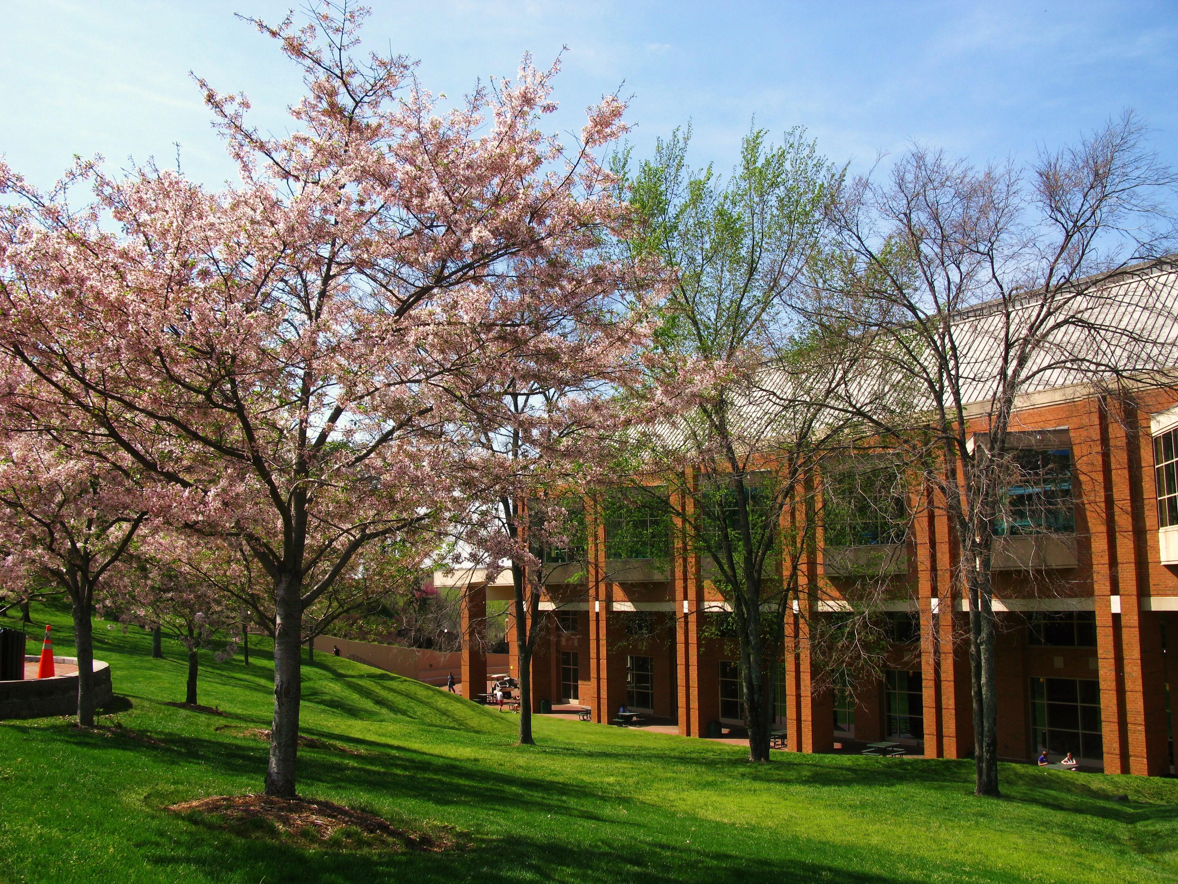 University of North Carolina at Charlotte - Admission Chances Calculator