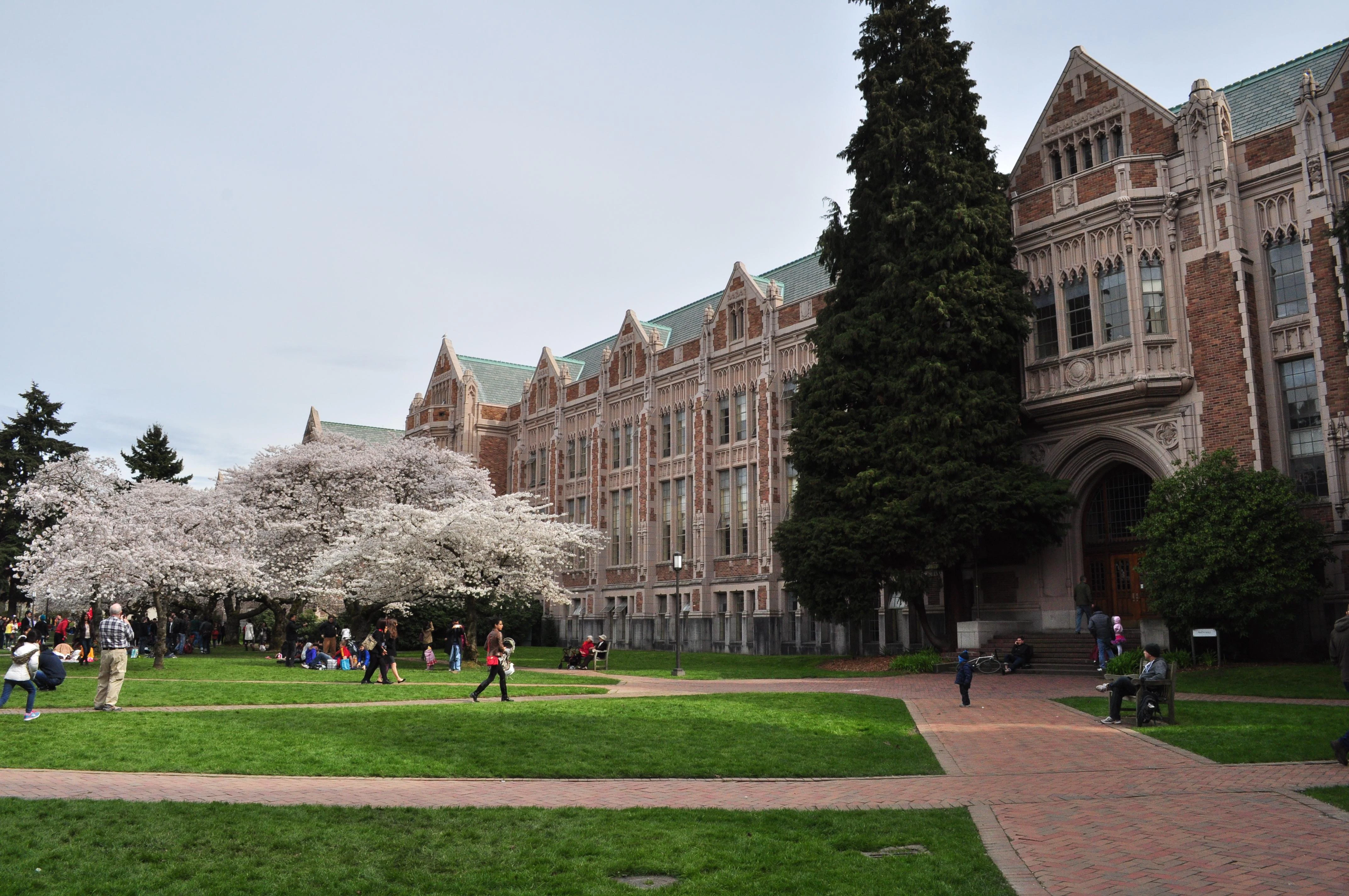 University of Washington Seattle Campus - Net Price, Tuition, Cost to ...